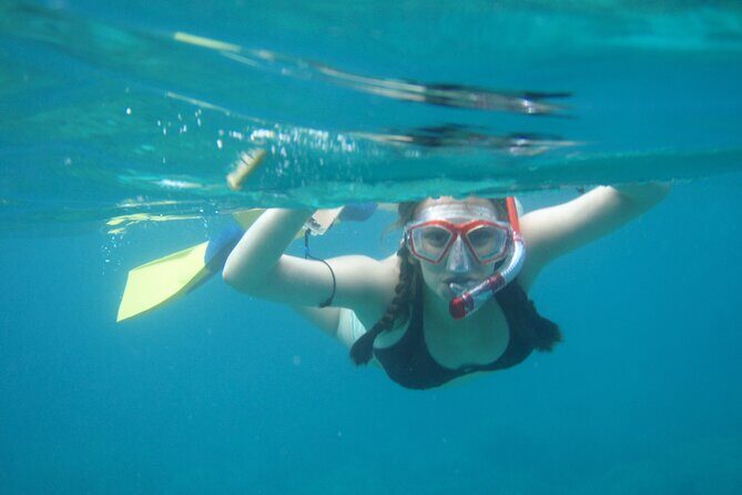 3 Hour Cruise & Swimming Excursion off Peanut Island Park - A Detailed Look at the Experience