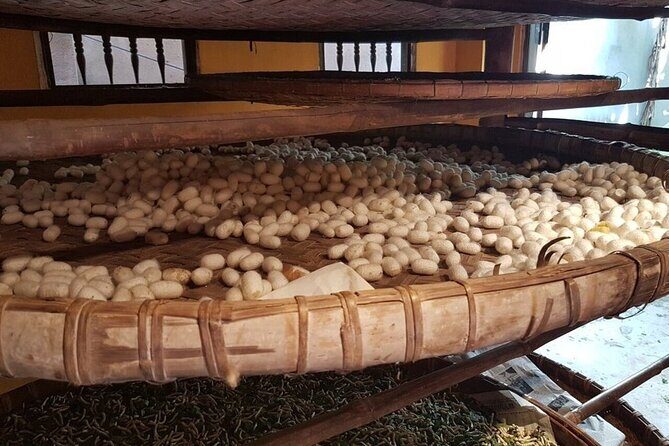 3-Hour Cultural Tour in Hoi An Silk Village with Local Meal - FAQs