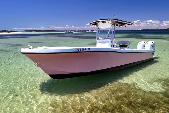 3 Hour Dolphin Tour and Snorkeling in Shell Island - The Sum Up