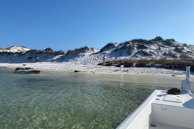 3 Hour Dolphin Tour - Key Points