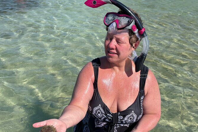 3 Hour Dolphin Tour - The Sum Up