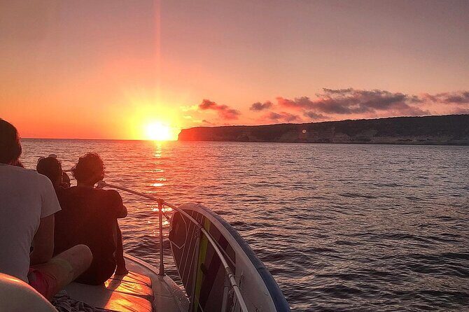 3-Hour Dolphin watching at sunset with aperitif - Who Would Love This Tour?