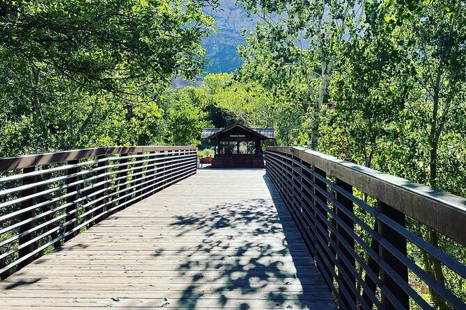 3 Hour Guided E Bike Tour in Zion National Park - What to Expect from the Zion E-Bike Tour