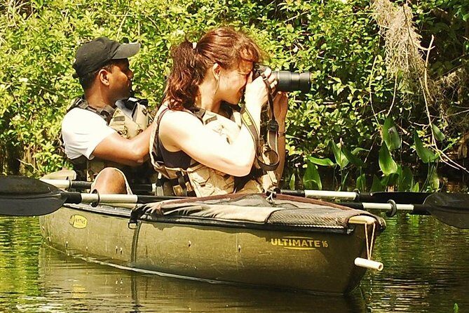 3 Hour Guided Mangrove Tunnel Kayak Eco Tour - What to Expect on Your Kayaking Eco Tour in the Everglades
