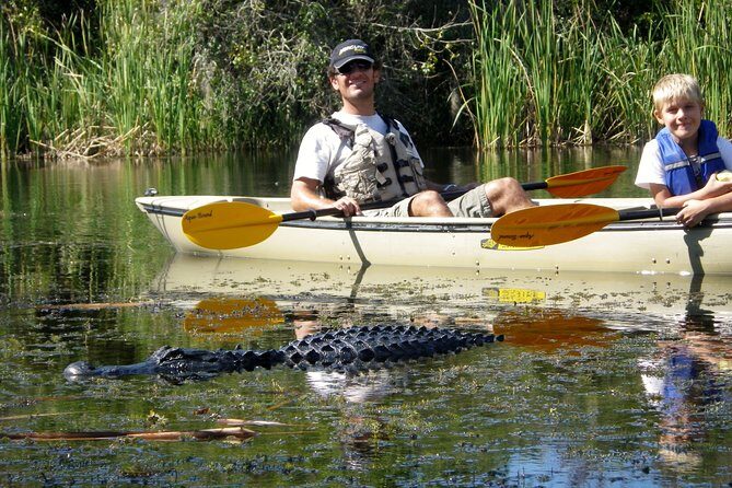 3 Hour Guided Mangrove Tunnel Kayak Eco Tour - What Visitors Say: Authentic Feedback from Reviewers