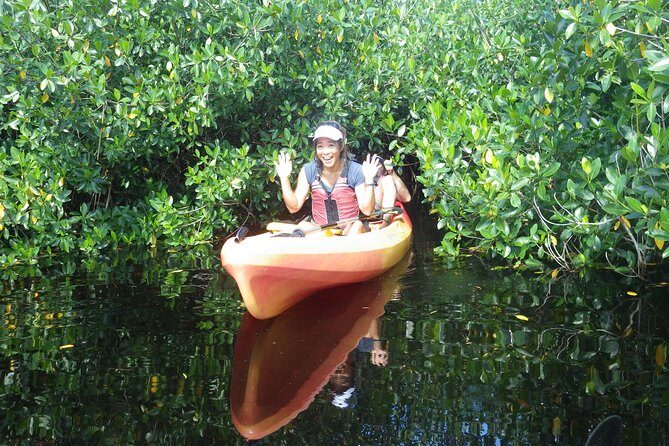 3 Hour Guided Mangrove Tunnel Kayak Eco Tour - FAQ Section