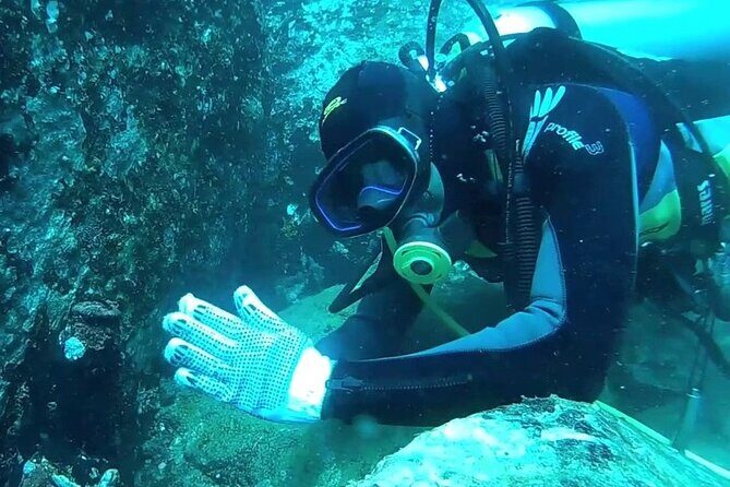 3 Hour Guided Scuba Diving in Trincomalee - Key Points