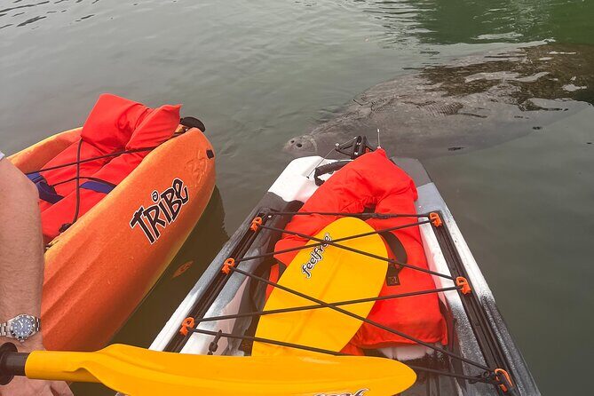 3 Hour Guided Tandem Kayak Adventure - Frequently Asked Questions