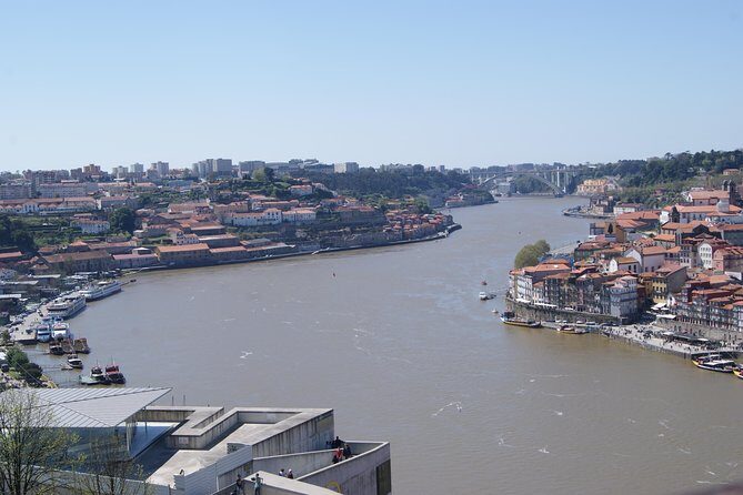 3-Hour Guided Walking Tour of Porto - The Sum Up
