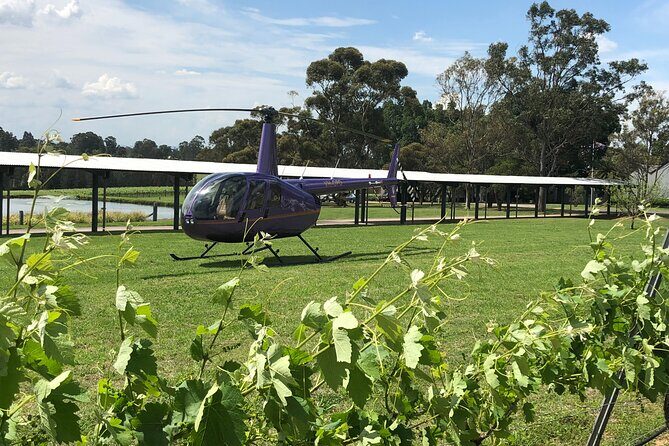 3 Hour Helicopter Wine Tasting Tour in Hunter Valley - Unveiling the 3-Hour Helicopter Wine Tasting Tour in Hunter Valley