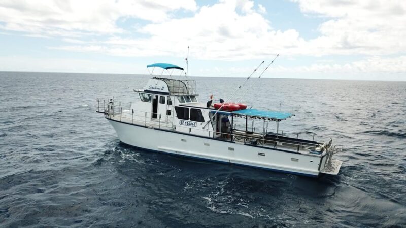 3-Hour Honolulu Bottom Fishing Adventure - Pricing and Value