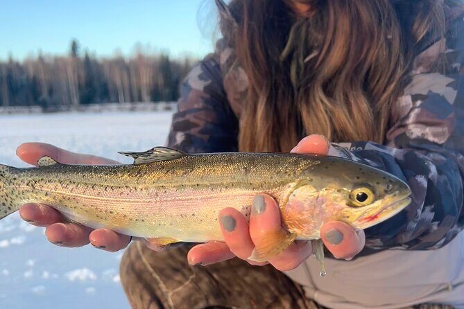 3 Hour Ice Fishing Experience - What to Expect from the Itinerary