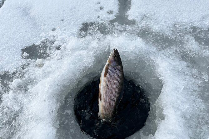 3 Hour Ice Fishing Experience - The Authentic Experience
