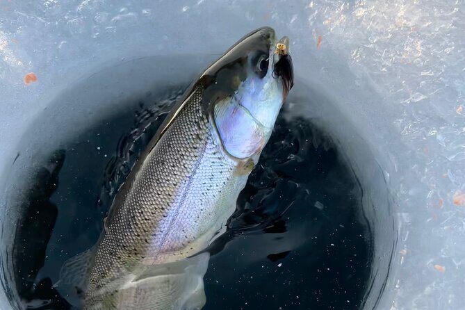 3 Hour Ice Fishing Experience - Pricing and Value