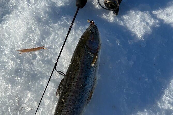 3 Hour Ice Fishing Experience - FAQ