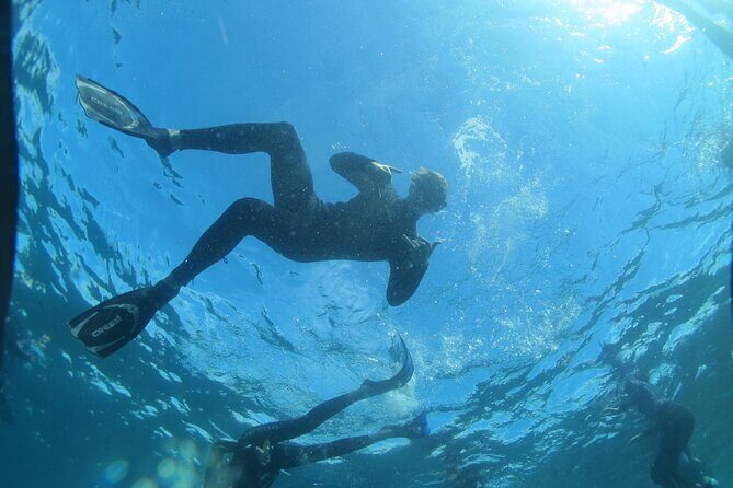 3-Hour Kayak and Snorkeling Experience in Batemans Bay - The Itinerary: What to Expect from Start to Finish