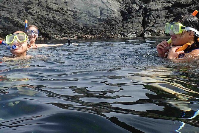 3-Hour Kayak and Snorkeling Experience in Batemans Bay - What the Reviews Say