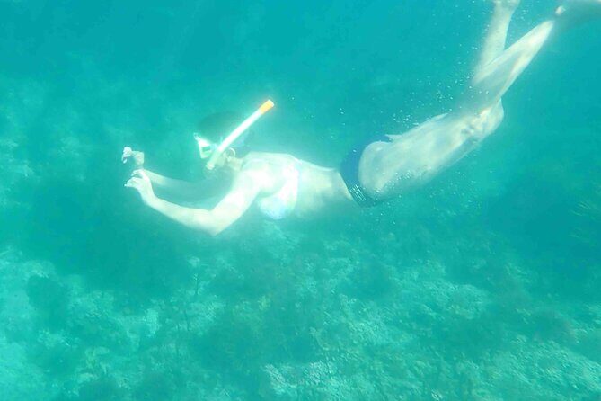 3-Hour Kayak and Snorkeling Experience in Batemans Bay - Practical Tips for Travelers