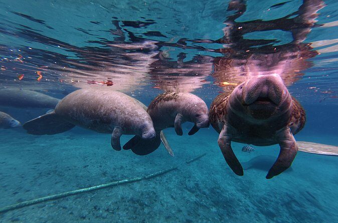 3 Hour Kayak Rental - FAQ