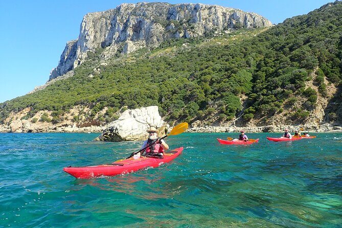 3-Hour Kayak Tour at Capo Figari (Golfo Aranci) - Final Thoughts: Who Is This Tour Best Suited For?