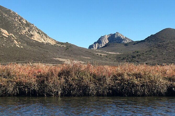 3-Hour Kayaking and Hiking in Californias Central Coast - Frequently Asked Questions