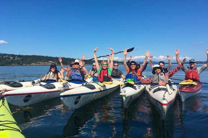 3 Hour Kayaking Tours from Friday Harbor - Introduction