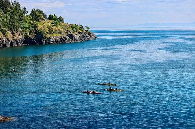 3 Hour Kayaking Tours from Friday Harbor - FAQ