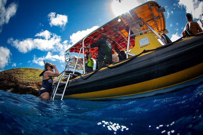 3-Hour Koa Kai Afternoon Adventure Snorkel - An In-Depth Look at the 3-Hour Snorkel Adventure