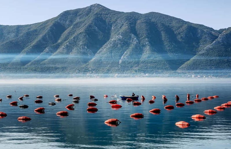 3-Hour Kotor Bay Cruise: Perast, Rocks & Mussel Farm Visit - Key Points