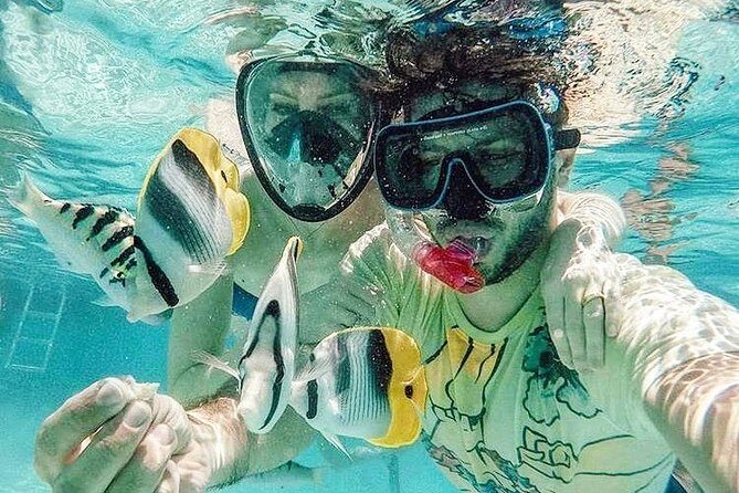 3-hour Lagoon Snorkeling Tour - Private Tour - Discover Moorea’s Underwater Charm with a Private Snorkeling Tour