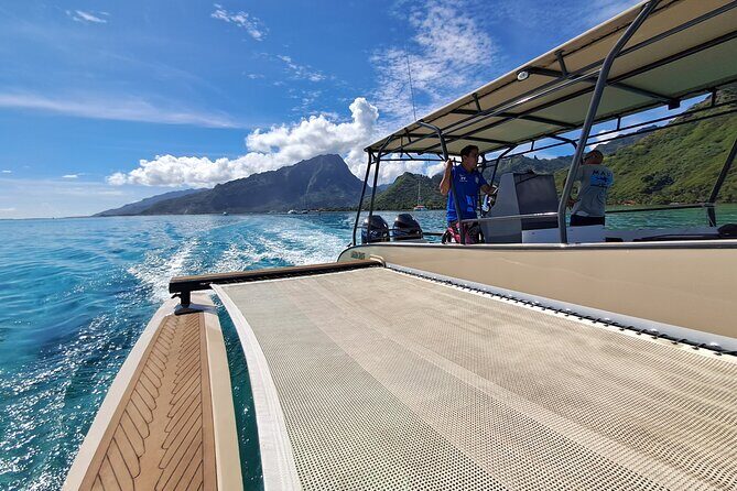 3-hour Lagoon Snorkeling Tour - Private Tour - Authentic Encounters and Authentic Guides