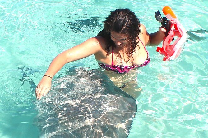 3-hour Lagoon Snorkeling Tour - Private Tour - Who Should Consider This Tour?