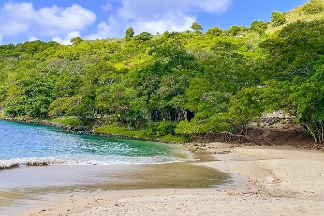 3 hour Land & Sea Tour Castries cruise terminal to Pigeon Island - The Sum Up