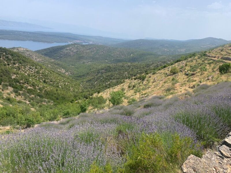3-Hour Lavender Tour from Hvar - Detailed Review of the Lavender Tour from Hvar