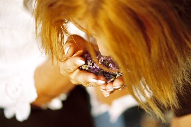 3-Hour Lavender Tour from Hvar - Final Thoughts: Who Will Love This Tour?