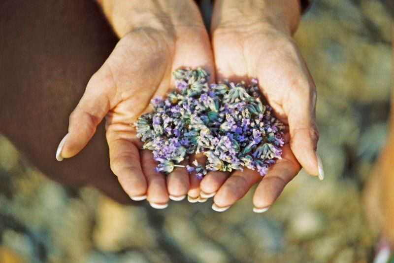 3-Hour Lavender Tour from Hvar - Frequently Asked Questions
