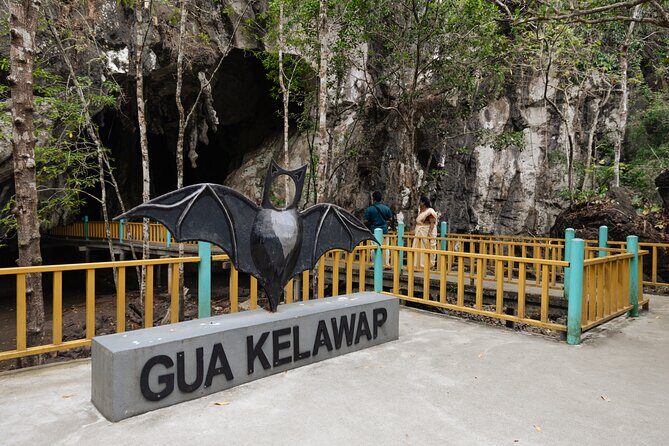 3 Hour Mangrove Tour with Bonus Snorkeling Experience - The Experience’s Strengths and Considerations