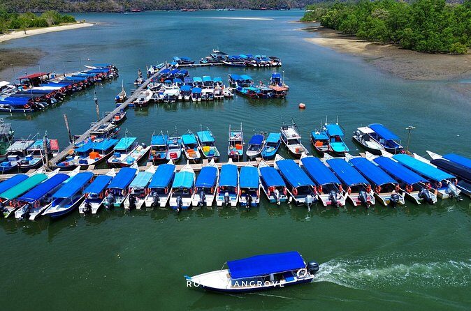 3 Hour Mangrove Tour with Bonus Snorkeling Experience - Who Is This Tour Best For?