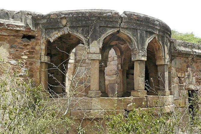 3-Hour Mehrauli Archaeological Park Ruins Walking Tour Delhi - The Sum Up