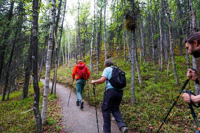3 Hour Naturalist Walking Tour in Denali National Park - What the Tour Offers