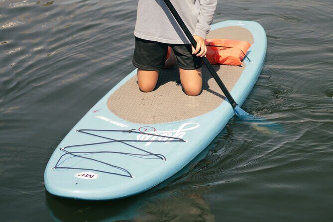 3 Hour Paddle Board Rental - Key Points