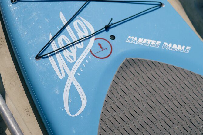 3 Hour Paddle Board Rental - Introduction: Your Water Adventure in Crystal River