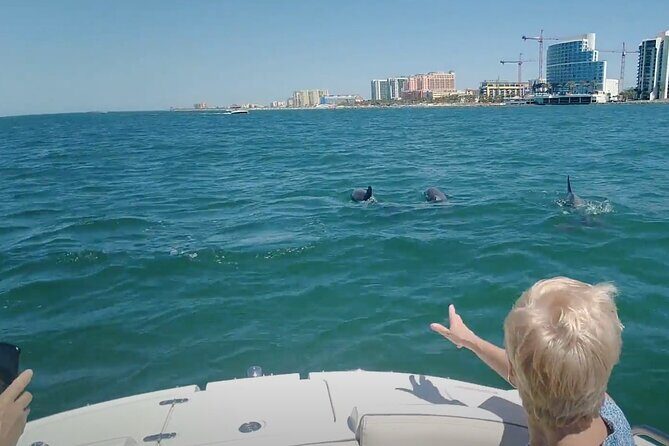 3-hour Private Boat Tour in Clearwater Florida Up to 6 People - The Sum Up