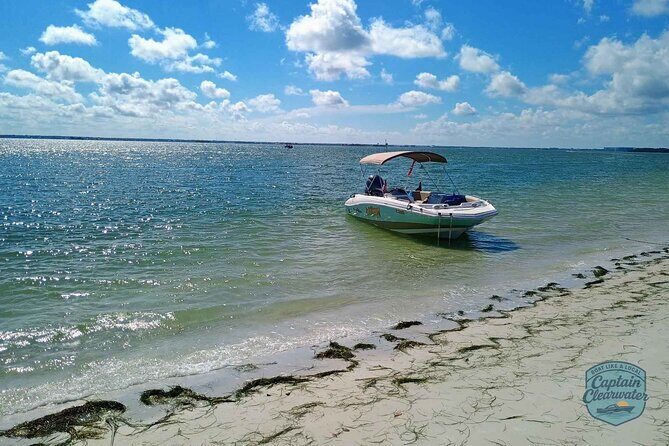 3-Hour Private Clearwater Beach Adventure  Dolphins & Sandbars - A Deep Dive into the Clearwater Private Boat Experience