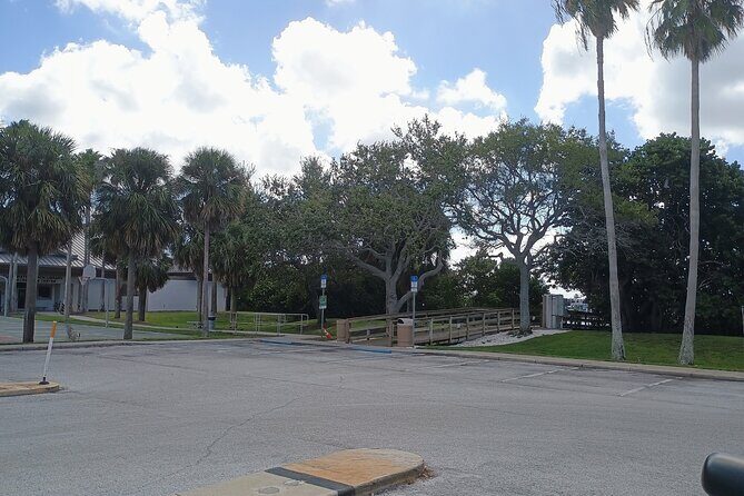 3-Hour Private Clearwater Beach Adventure  Dolphins & Sandbars - Who Should Consider This Tour?