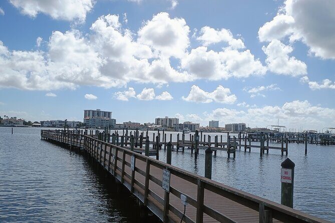 3-Hour Private Clearwater Beach Adventure  Dolphins & Sandbars - Final Thoughts