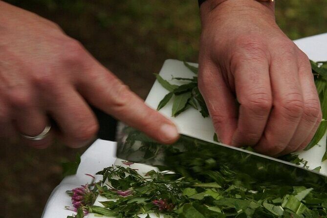 3-Hour Private Cooking Class in Cortona - The Impact of the Setting and the Chef