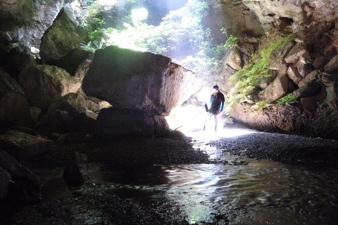 3-Hour Private Photography Tour in Waitomo Caves - FAQs