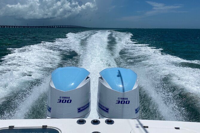 3 Hour Private Snorkeling in Marathon Florida - Why This Tour Stands Out