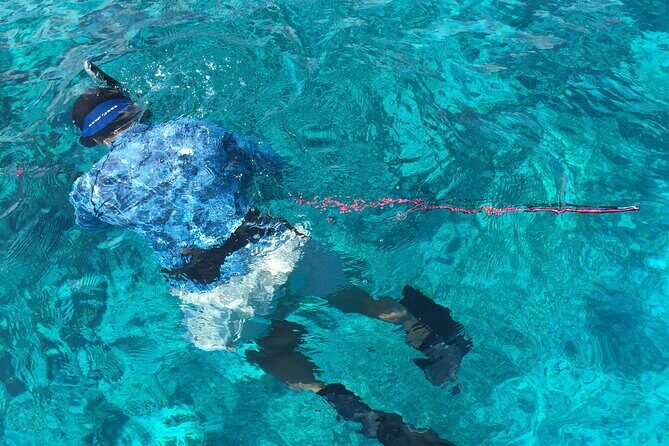 3 Hour Private Snorkeling in Marathon Florida - Detailed Breakdown of the Itinerary